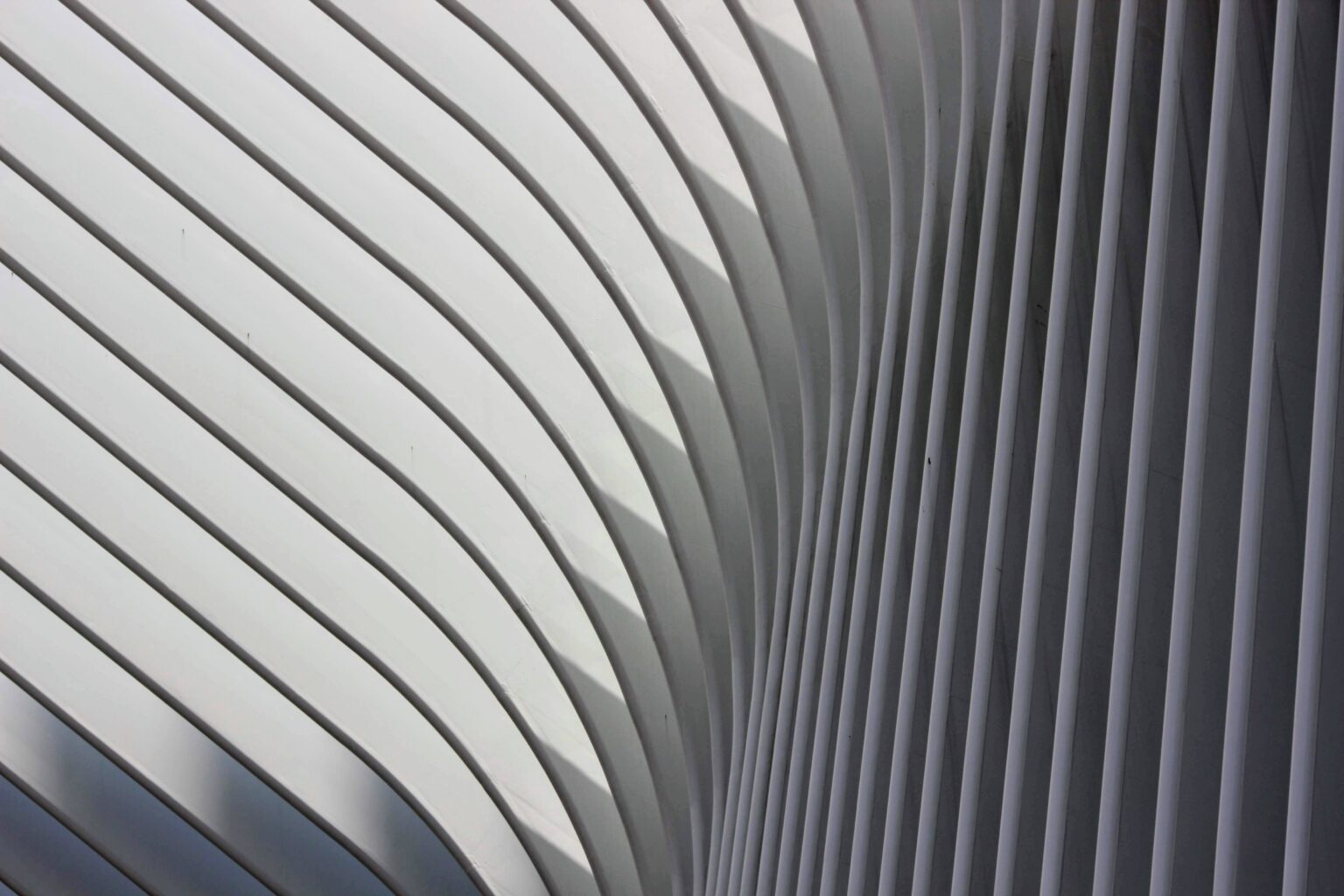 Meet the Land Development Experts | Infill